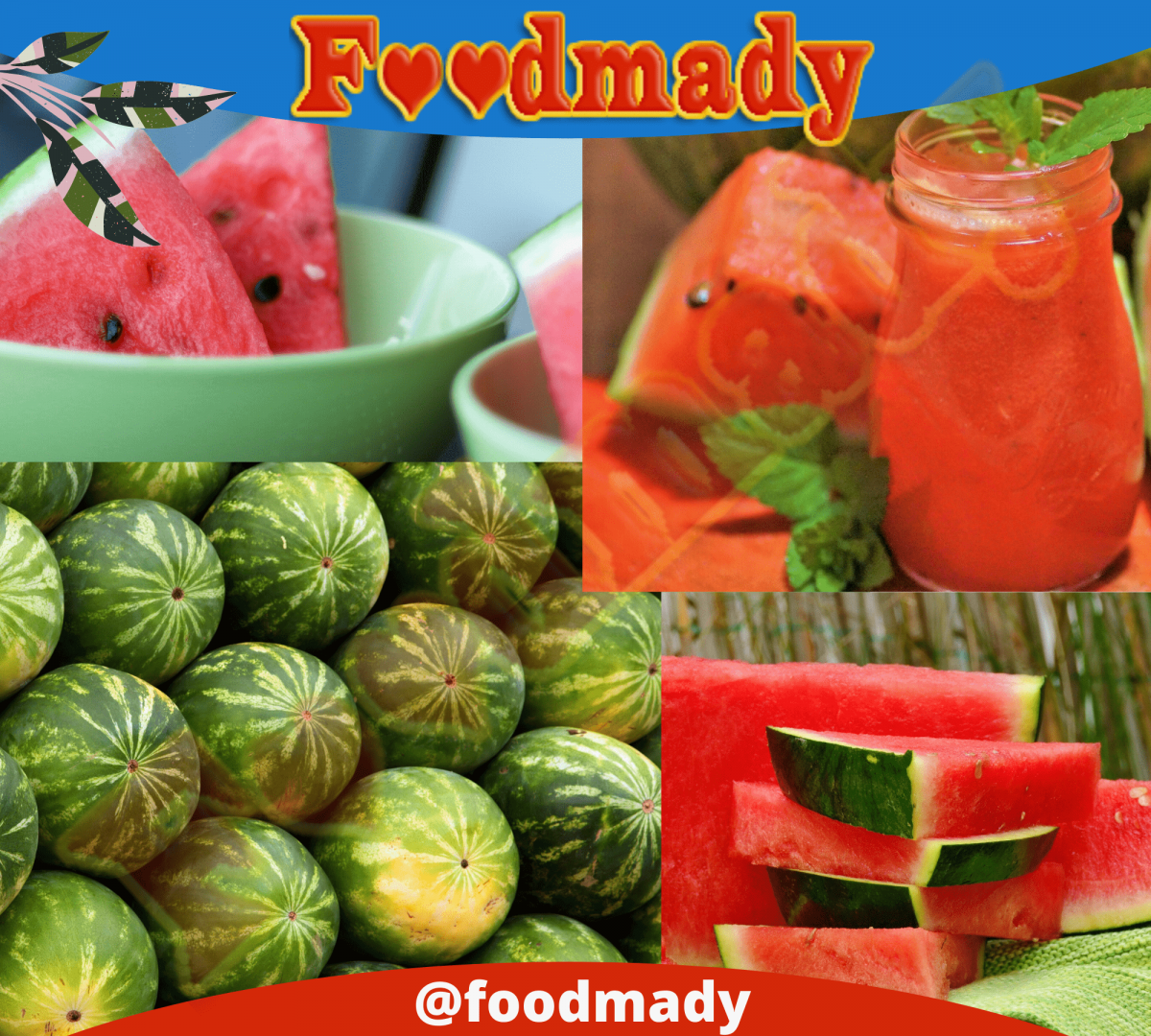 Did you know: Fruit facts part 6 [Watermelon] – Foodmady